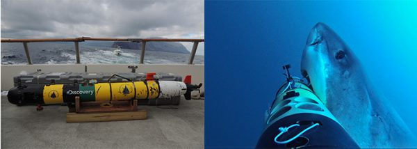 Tracking Great White Sharks – July 9, 2017 – Discovery of Sound in the Sea