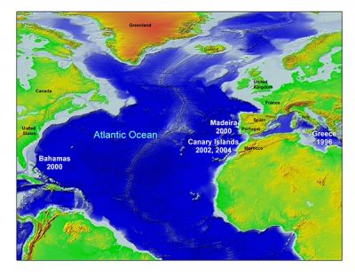 Tutorial: Strandings – Discovery of Sound in the Sea