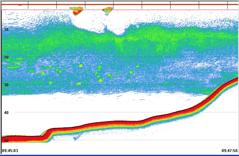 How is active acoustics used in fisheries research and management ...