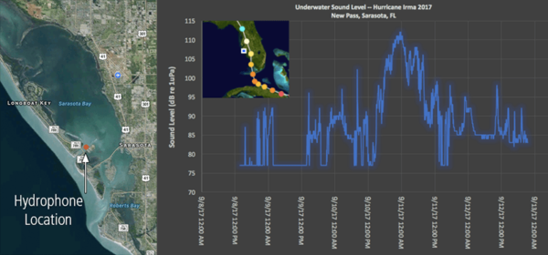 Hurricanes – Discovery of Sound in the Sea