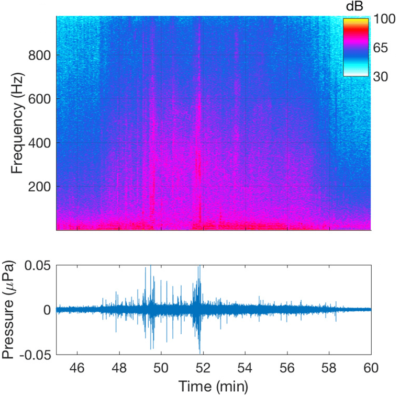 Noise Field in the Arctic – Discovery of Sound in the Sea