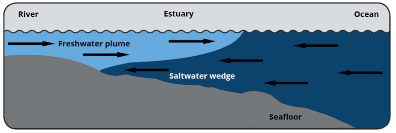 How does sound travel in very shallow waters? – Discovery of Sound in ...