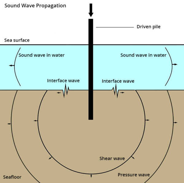 How does sound propagate through sediment? – Discovery of Sound in the Sea