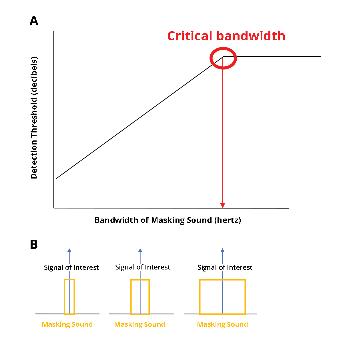 Acoustic Masking in Mammals – Discovery of Sound in the Sea