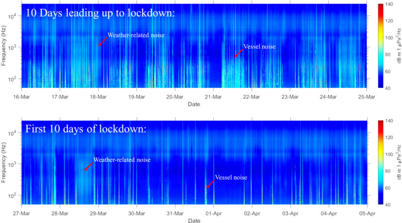 How did the COVID-19 pandemic affect underwater sound? – Discovery of ...