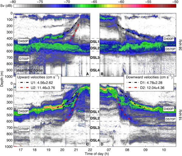 Sound Scattering Layers - Discovery of Sound in the Sea