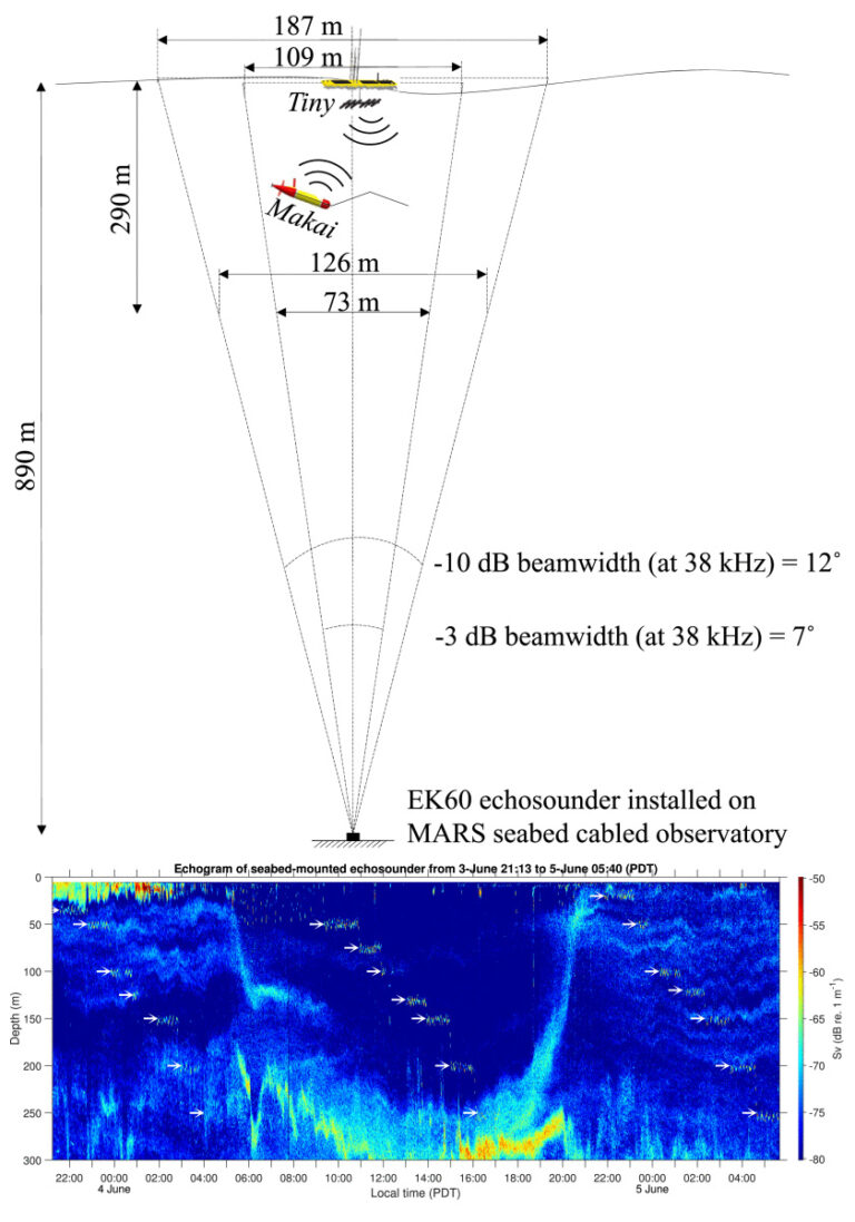 Sound Scattering Layers - Discovery of Sound in the Sea